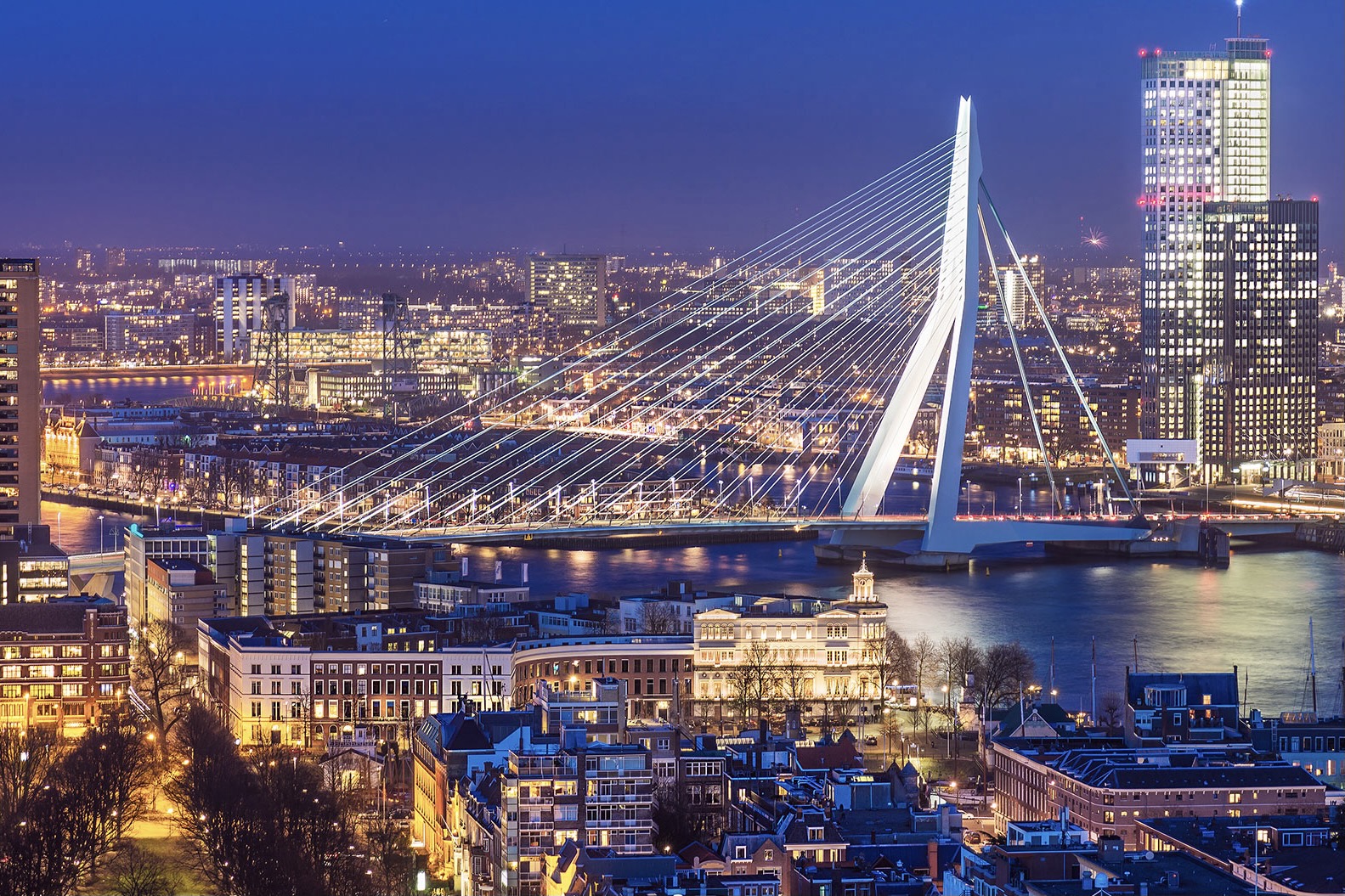 Once Upon A Summertime: Rotterdam
